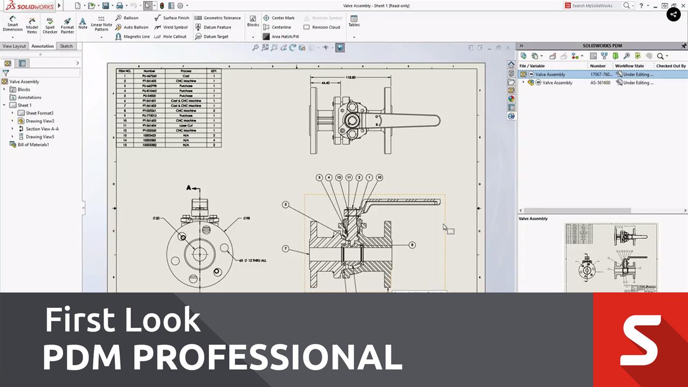 First Look - PDM Professional
